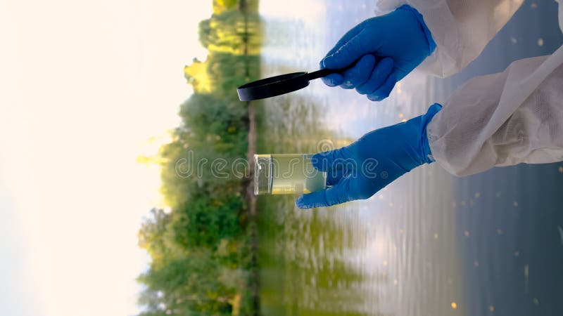 Conduct a Water Study on a River. Selective Focus Stock Video - Video ...