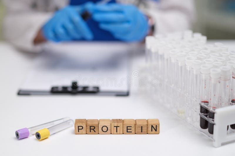 Conducting a Detailed Laboratory Analysis of Protein Utilizing Test ...
