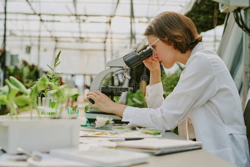 Conducting Scientific Research in Laboratory Environment Stock Photo ...