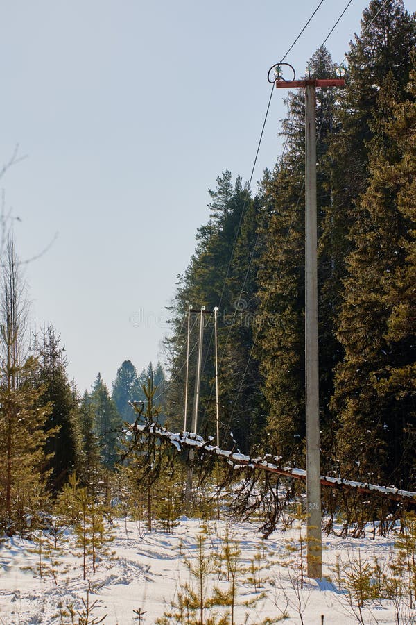 Ground Current Potential Significant Tree Contacts Overhead ...