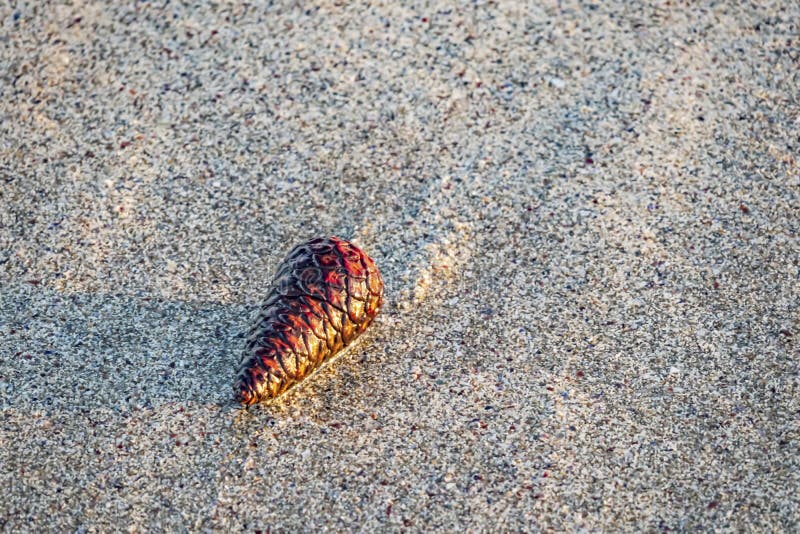 Cone on the Beach and Sands Stock Photo - Image of horizon, blue: 169192360