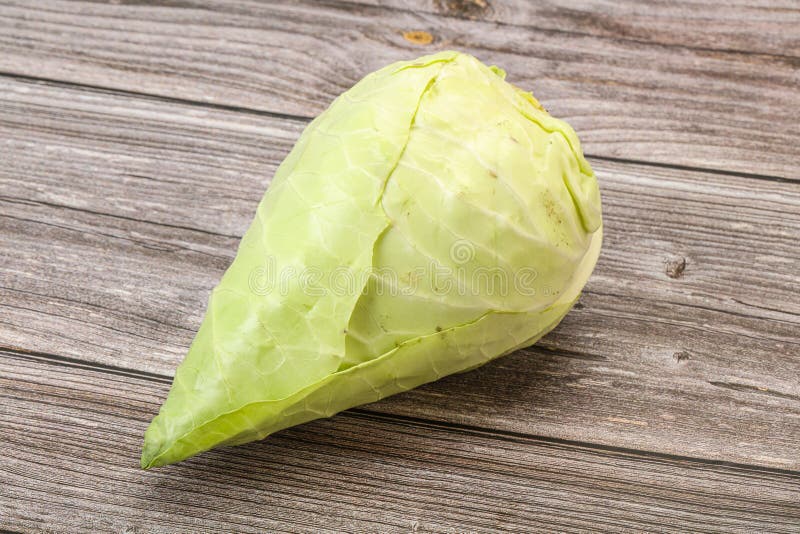 Cone Cabbage for Dietary Cuisine Stock Photo - Image of closeup ...