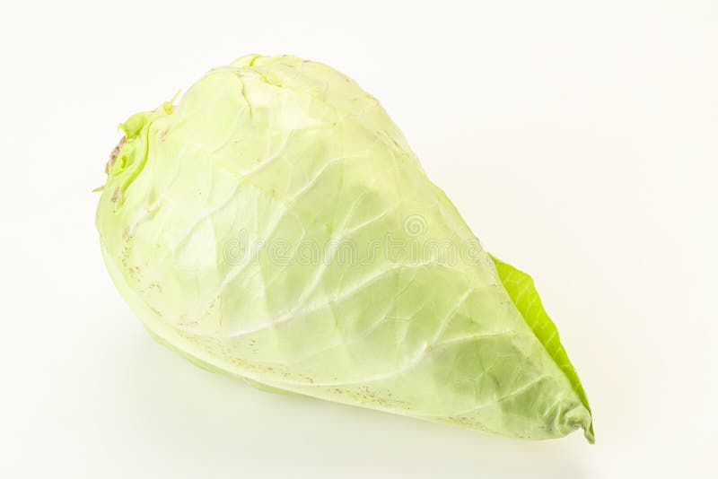Cone Cabbage for Dietary Cuisine Stock Photo - Image of leaf, green ...