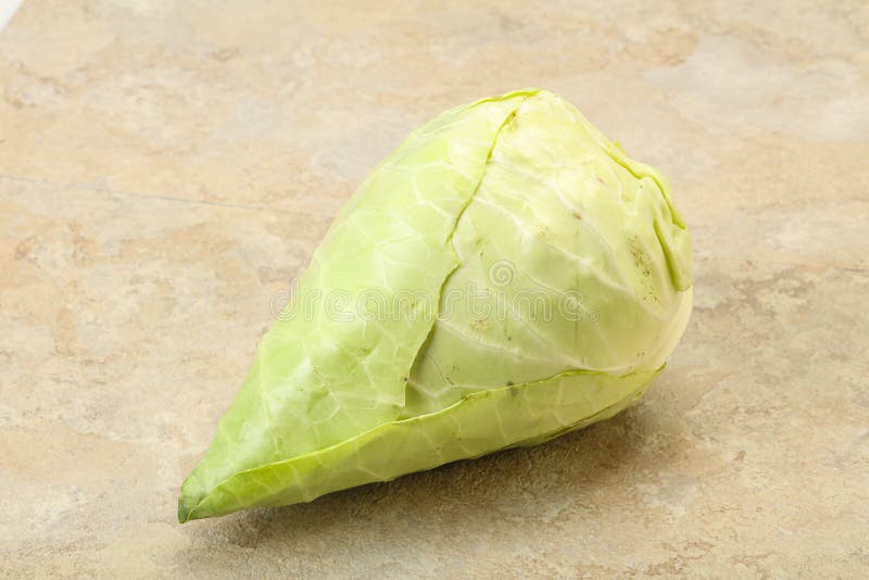 Cone Cabbage for Dietary Cuisine Stock Photo - Image of brassica ...