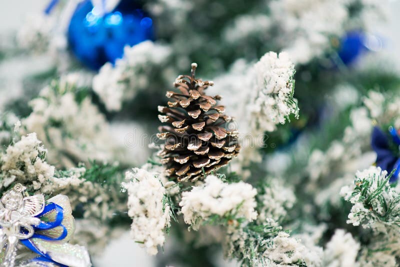 Cone on Fir Tree with Snow. Outdoor Stock Photo - Image of evergreen ...