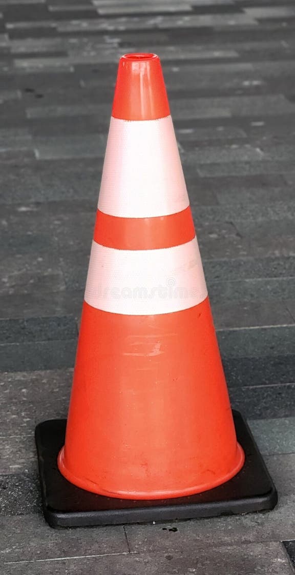 Cone, Glass, Tree, View and Natural Stock Image - Image of view, cone ...