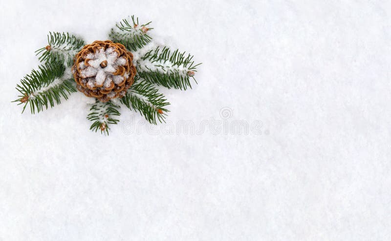 Cone Pine, Twigs Christmas Tree on Snow with Space for Text. Top View ...