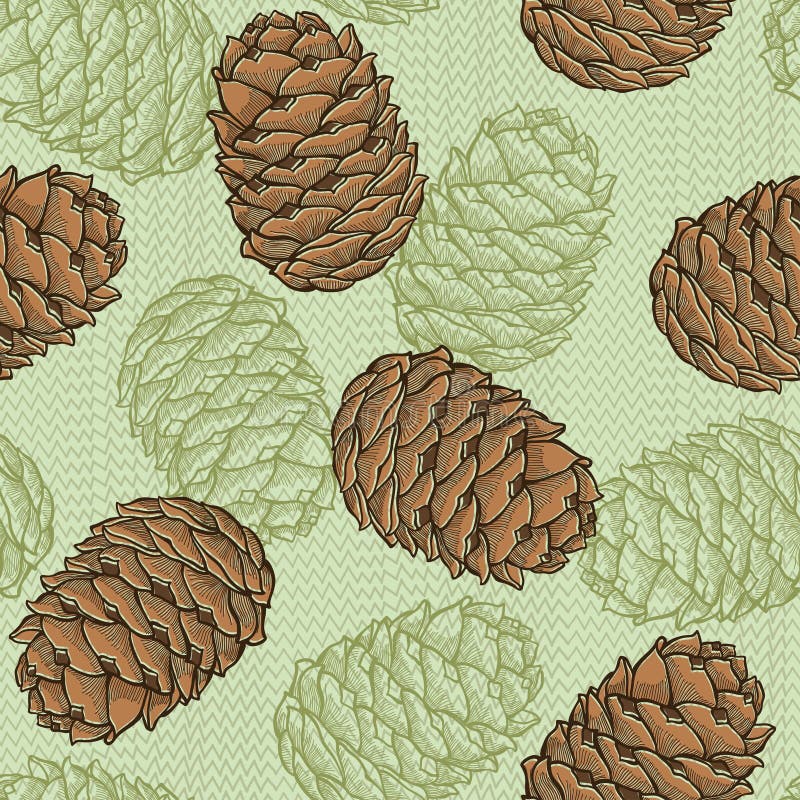 Seamless spruce background stock vector. Illustration of cone - 16786761