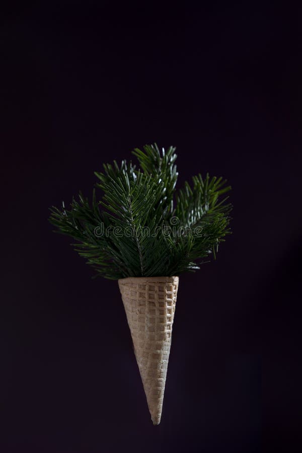 A Cone Shaped Container with a Green Plant Inside. the Image Has a Dark ...