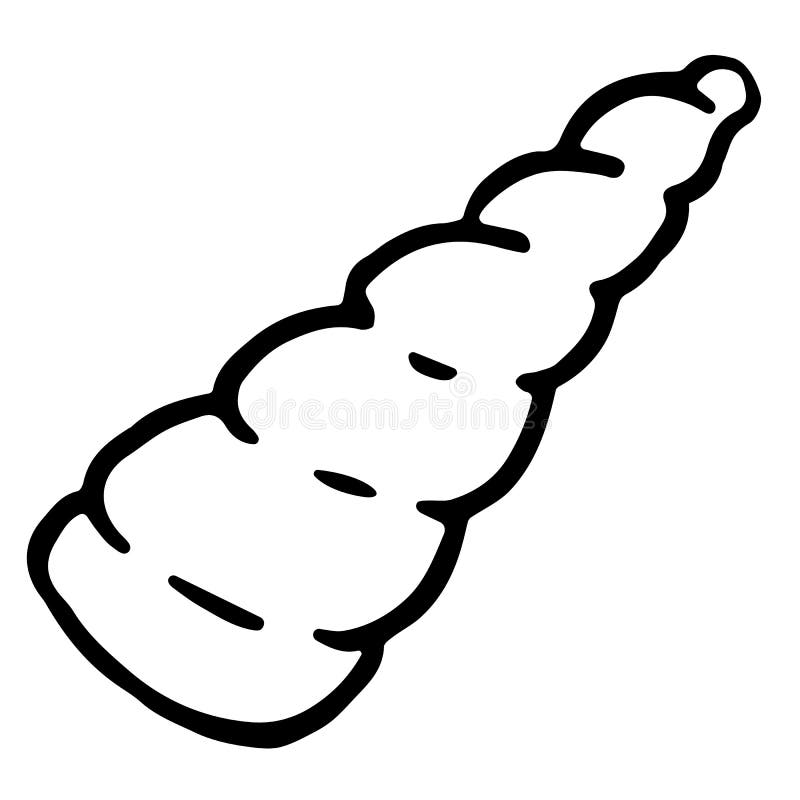 Cone Snails Shell in Doodle Style. Seashell Vector Illustration ...