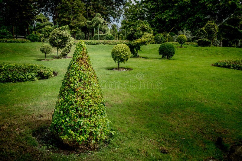 4,164 Trimmed Bush Photos - Free & Royalty-Free Stock Photos from ...