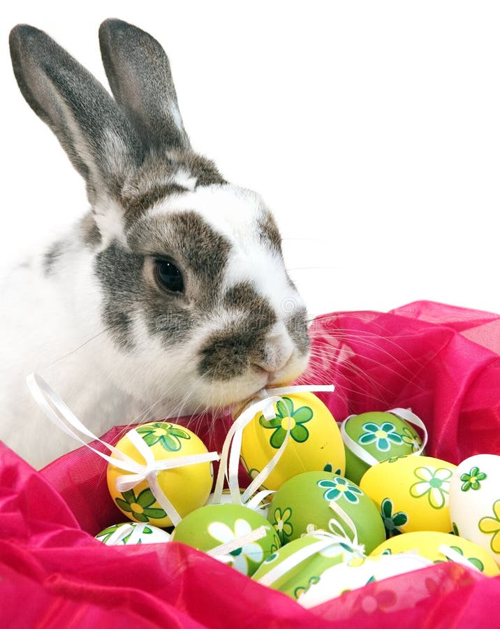 Conejito De Pascua Con Los Huevos Foto de archivo - Imagen de colorido ...