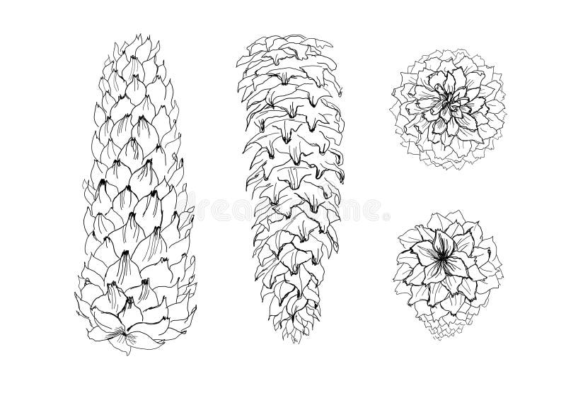 Hand drawing flowers set stock vector. Illustration of decorative ...