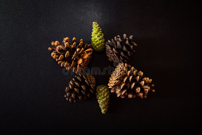 Cones collection stock photo. Image of background, cone - 91678894