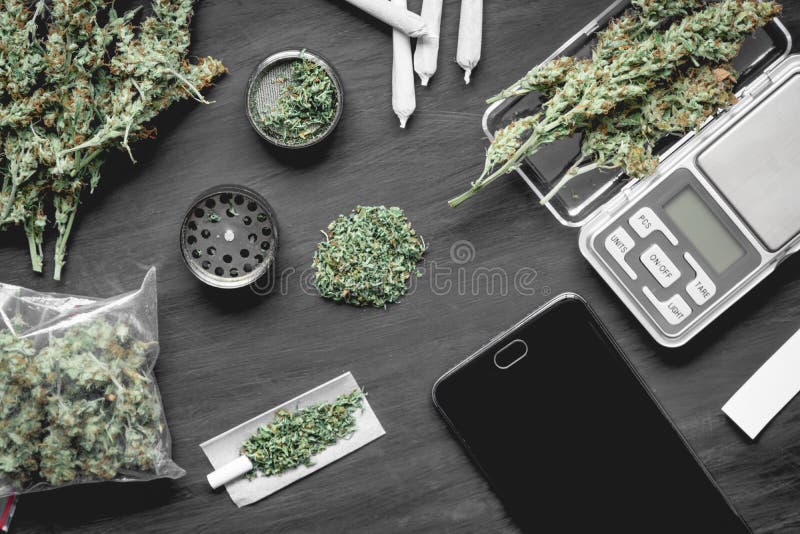Cones of marijuana flowers stock photo. Image of medicinal - 135793230