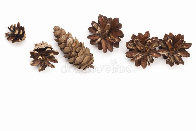 Pine over the sea. stock image. Image of ship, peak, mountains - 28111583