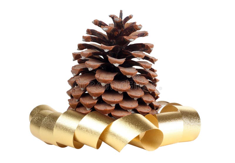 Cones and ribbon stock photo. Image of detail, spike - 22034048