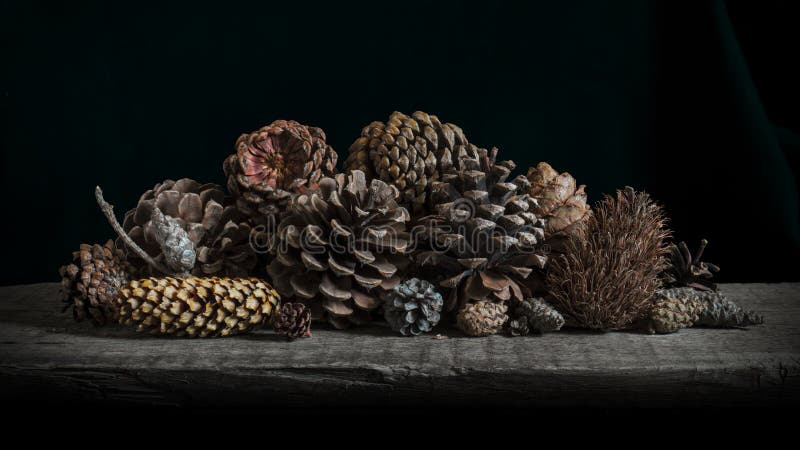 Cones Still Life Photography Stock Image - Image of brown, composed ...