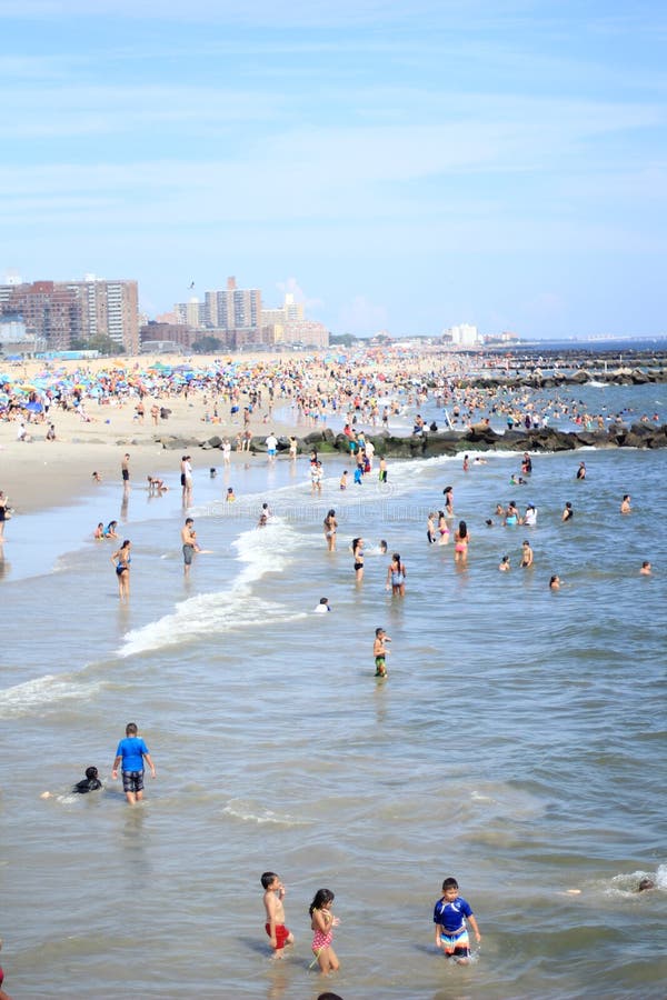 Coney Island Beach editorial stock photo. Image of birds - 88309368