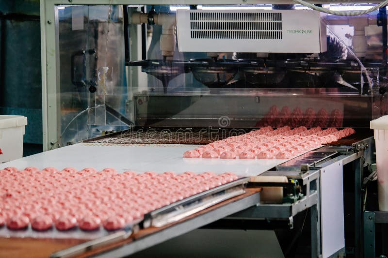 Confectionery Factory. Zephyr and Marshmallows Forming Process Stock ...