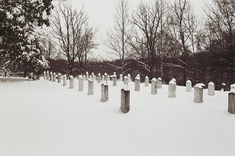Graves Cedar Grove Stock Photos - Free & Royalty-Free Stock Photos from ...
