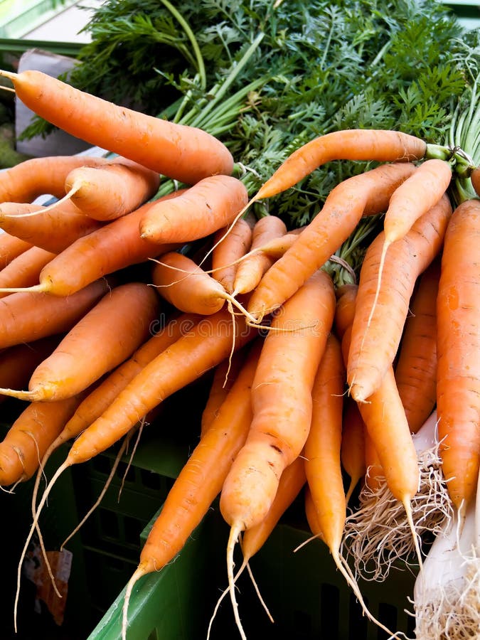 Fresh carrots on floor stock photo. Image of motiviert - 35520504