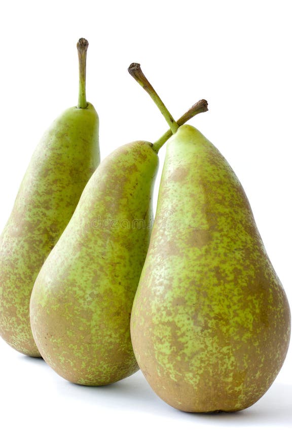 Conference Pears stock image. Image of three, conference - 12360091