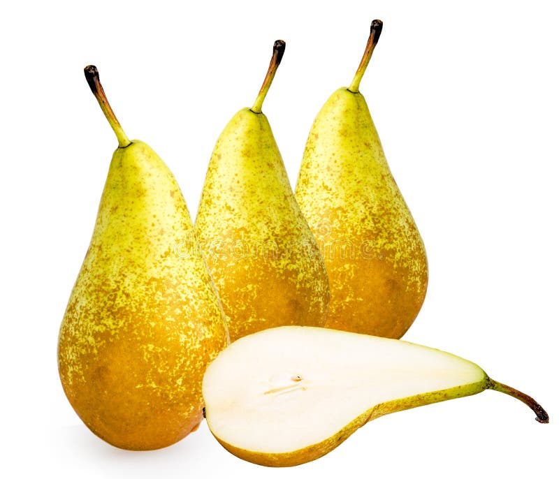Conference pears stock photo. Image of copy, space, pear - 37868510