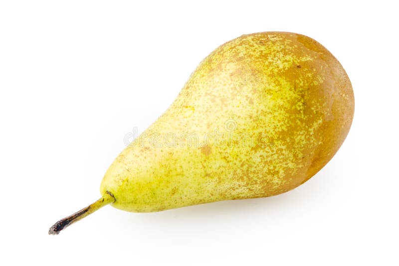 Conference pears stock photo. Image of copy, space, pear - 37868510