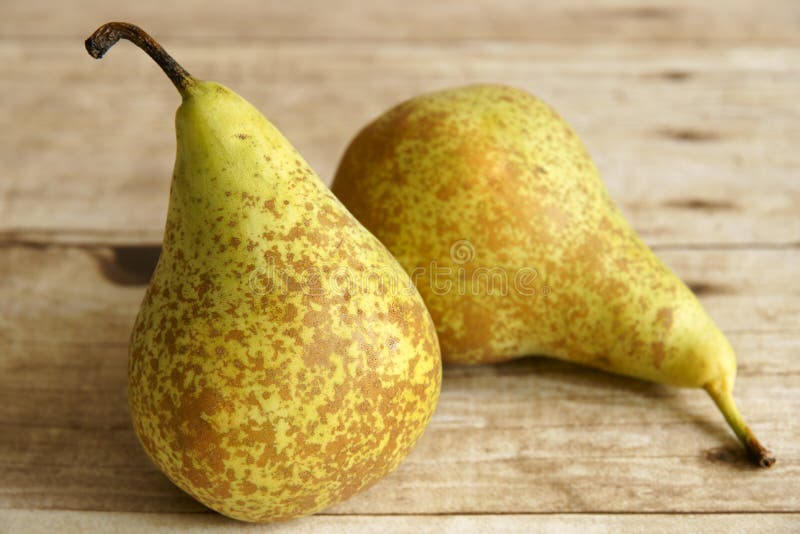 Conference Pears stock image. Image of communi, organic - 33747433