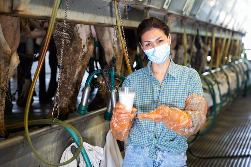 Female Milker Posing With Glass Of Milk On Dairy Farm Stock Image Image Of Barn Cowshed