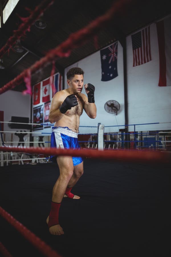 Confident Boxer Performing Boxing Stance Stock Photo - Image of ...