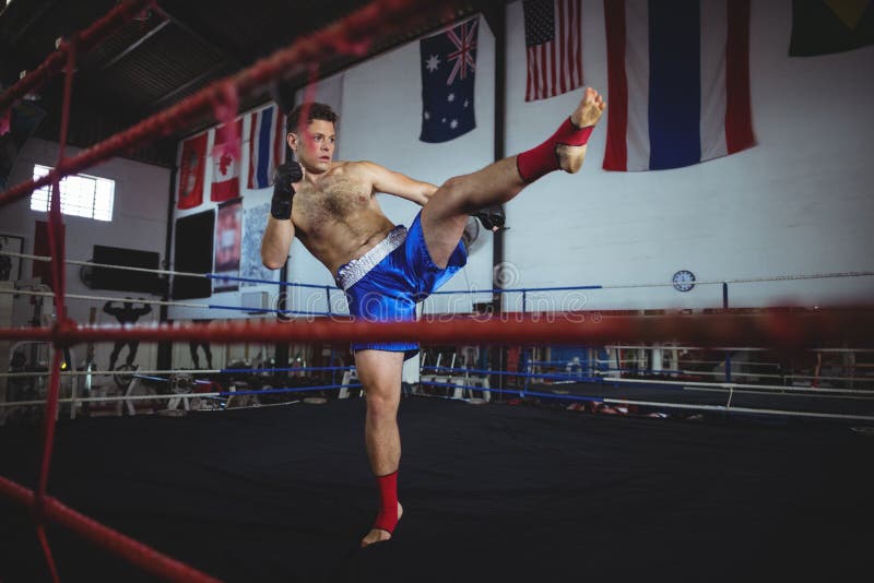Confident Boxer Practicing a Boxing Stock Photo - Image of confident ...