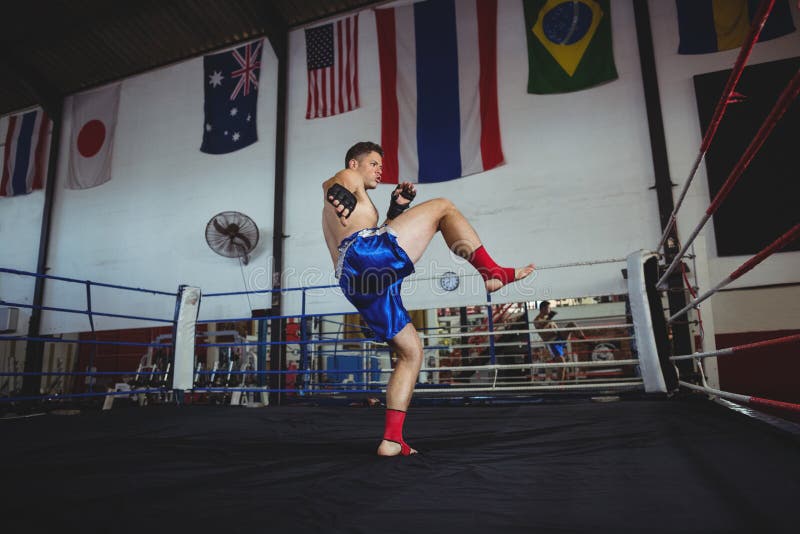 Confident Boxer Practicing a Boxing Stock Image - Image of physique ...