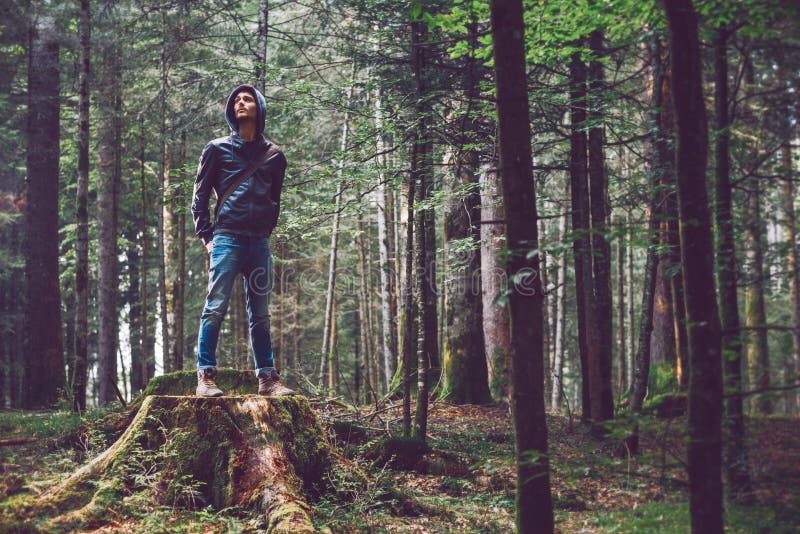 Young Man Standing in the Forest Stock Photo - Image of looking ...