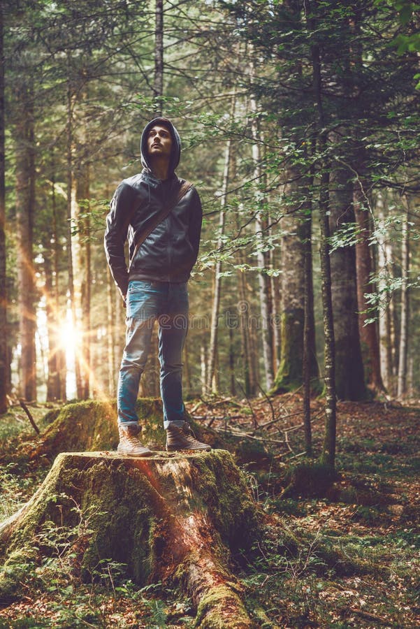 Confident Man Standing in the Forest Stock Image - Image of hoodie ...