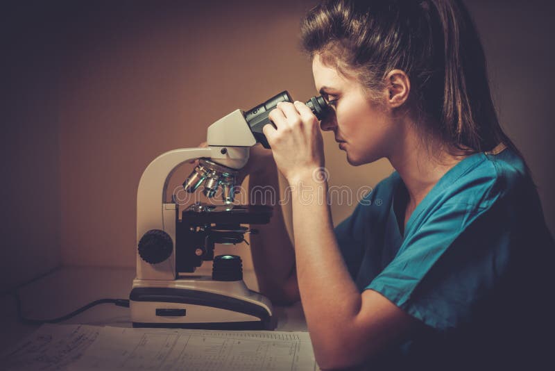 Confident Veterinarian Examining the Test Under the Microscope in ...