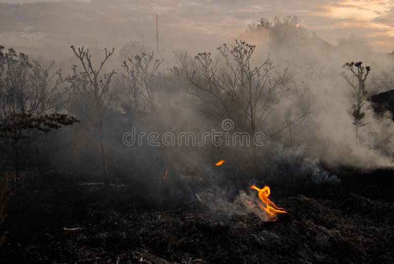 Conflagration stock image. Image of meadow, burning, nature - 22303541