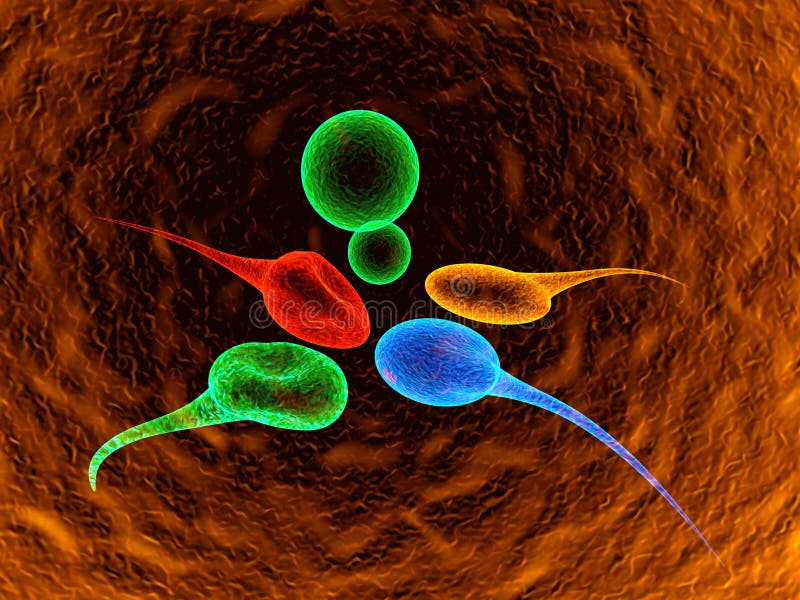Conflicto de las células stock de ilustración. Ilustración de médico ...