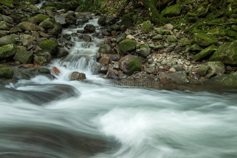 Confluence of brook stock image. Image of ravine, nature - 168410099