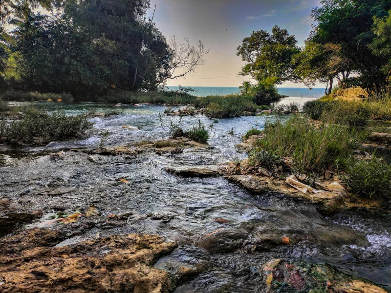 Confluence of a Gentle River Flowing through Lush Greenery and Rocky ...