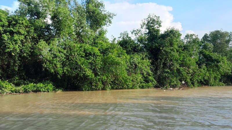 Confluence of River and Sea Water Stock Image - Image of lake, nature ...
