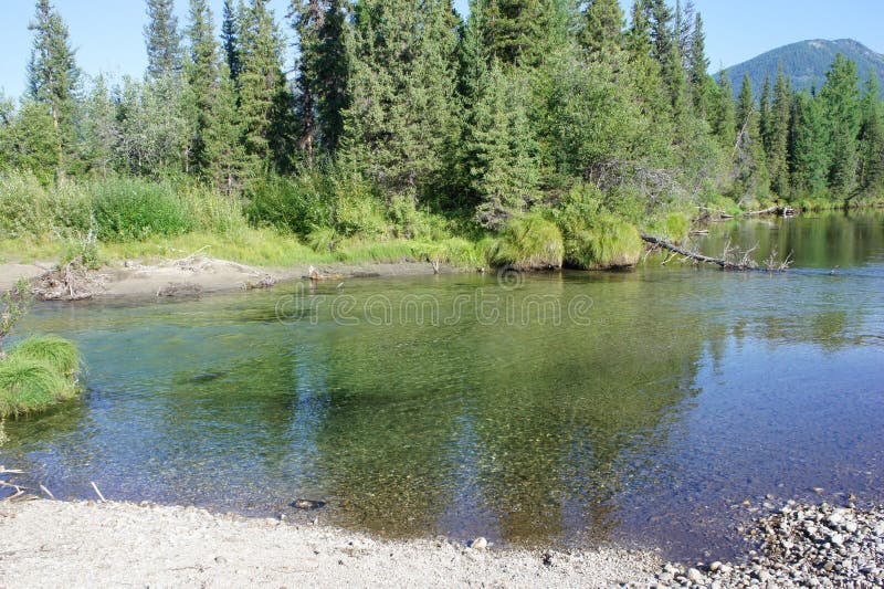 The Confluence of the Tributary of Thomas in the River Left Bilin Stock ...