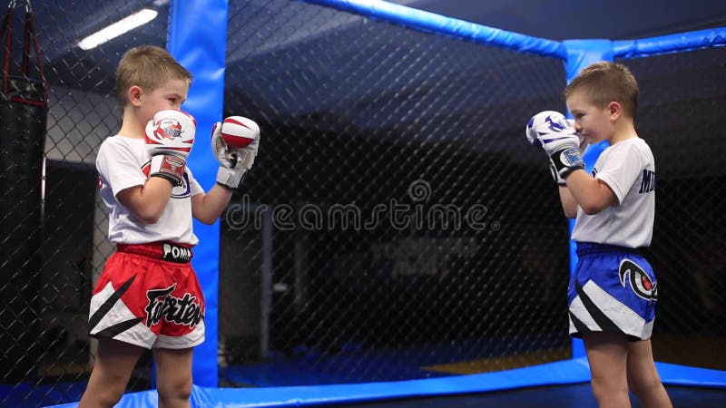 Boy boxing - brothers stock image. Image of brothers, exercise - 4761495