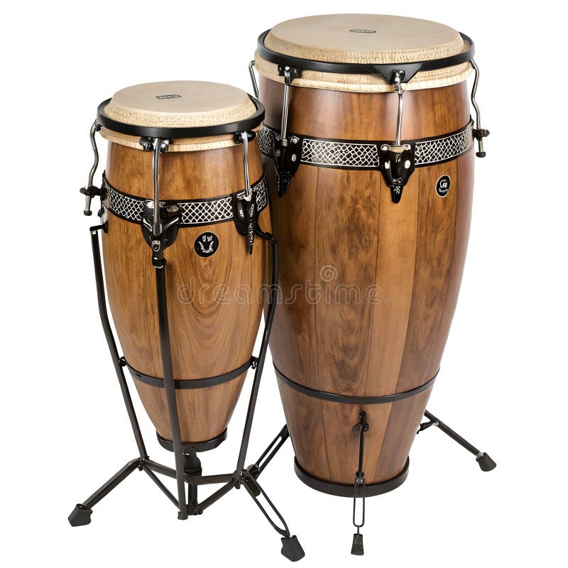 Congas Isolated on White Background Stock Illustration - Illustration ...