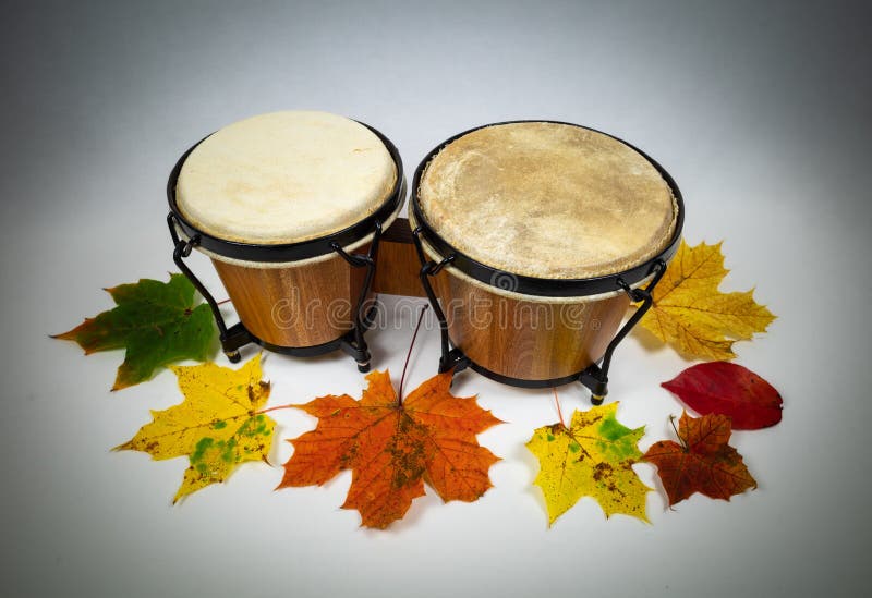 347 Congas Stock Photos - Free & Royalty-Free Stock Photos from Dreamstime