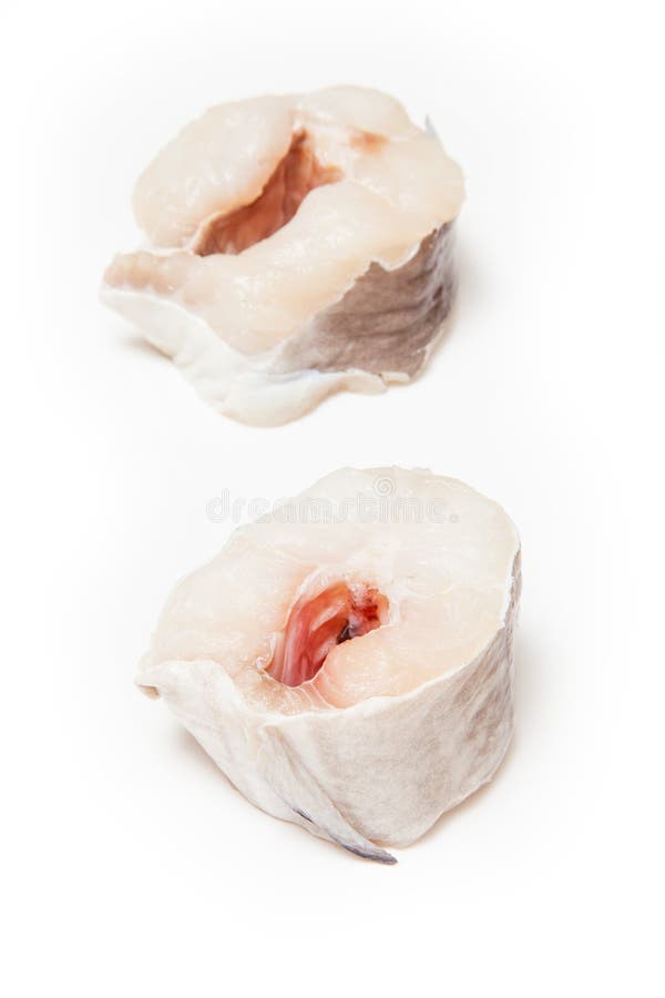 Conger eel fish steaks stock photo. Image of saltwater - 52370062