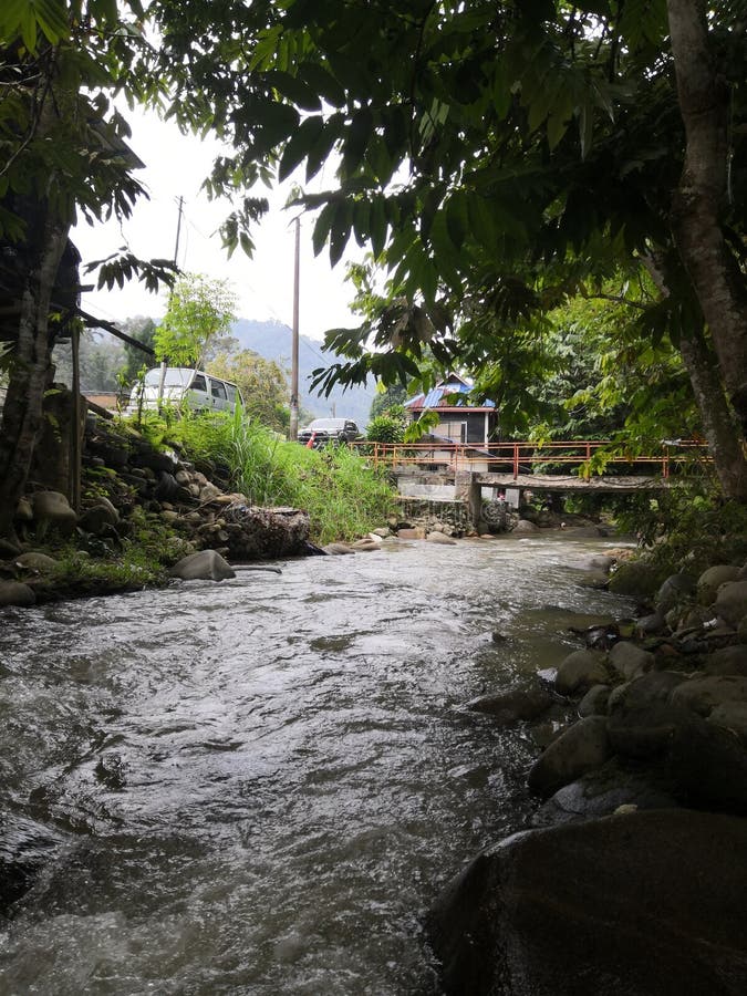 Congkak river in Malaysia stock photo. Image of tree - 293270922