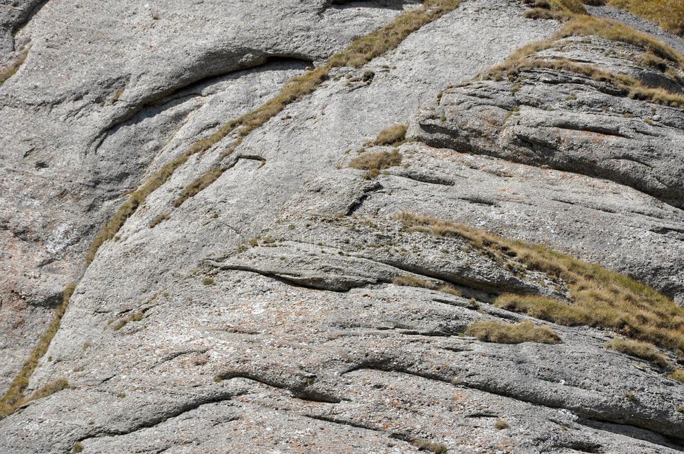 Conglomerate Rocks. Sedimentary Rock Texture Stock Image - Image of ...