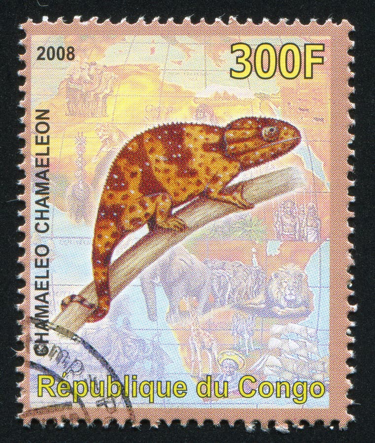 Chameleon editorial photography. Image of animal, fauna - 327018637